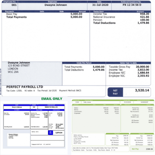 Payslips Online| Replacement Payslips | Same Day Delivery